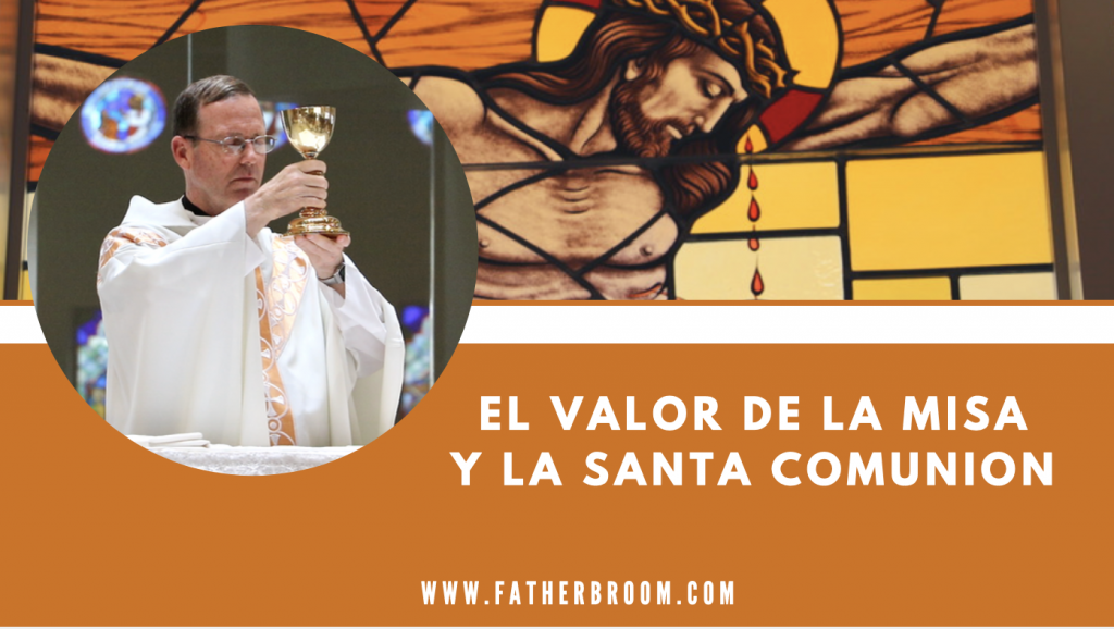 EL VALOR DE LA SANTA MISA | Padre Edward Broom, OMV (P.Escobita)